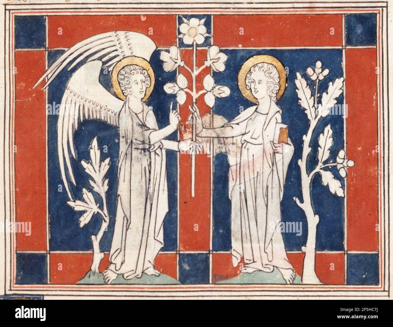 Queen Mary Apocalypse - BL Royal MS 19 B XV f. 18 Flowering reed Stock ...