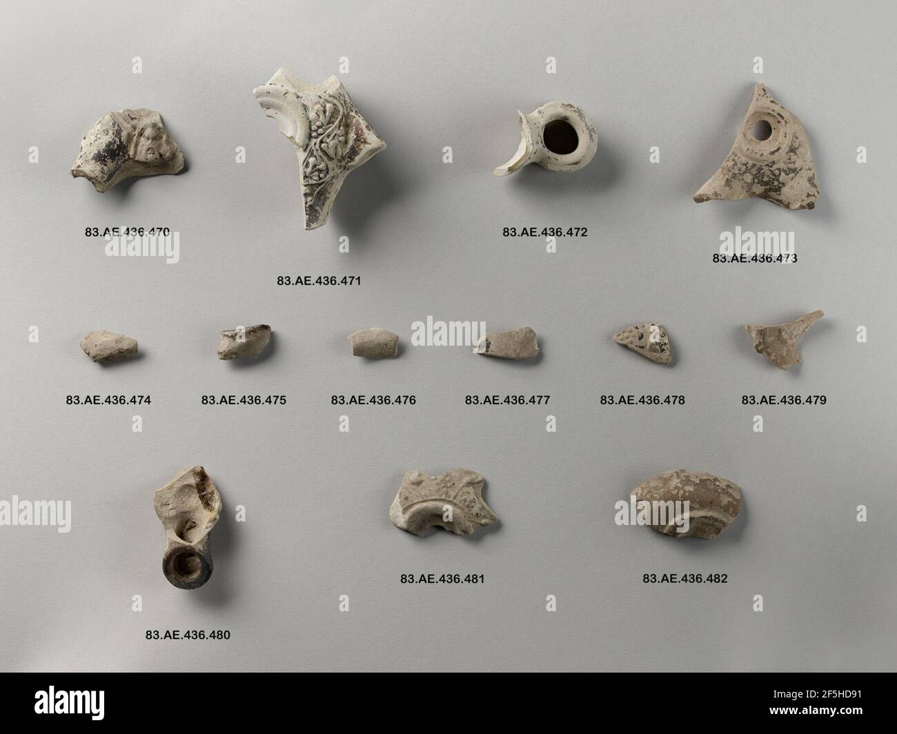 Fossil fragment hi-res stock photography and images - Alamy