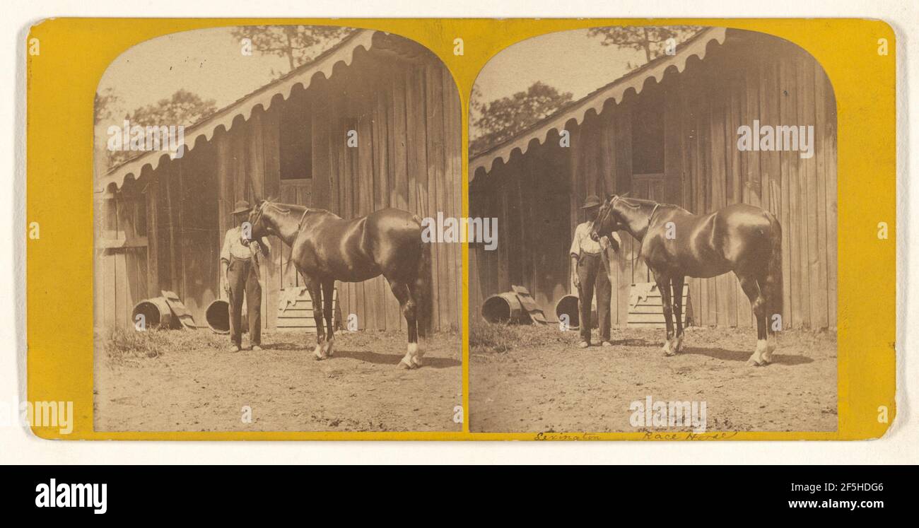 "Lexington." (Race Horse.) Alexander's Blooded Stock, Woodburn, Ky ...
