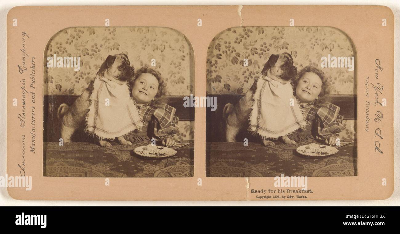 Ready for his Breakfast.. Edward Clarke (American, active 1900s - 1910s ...