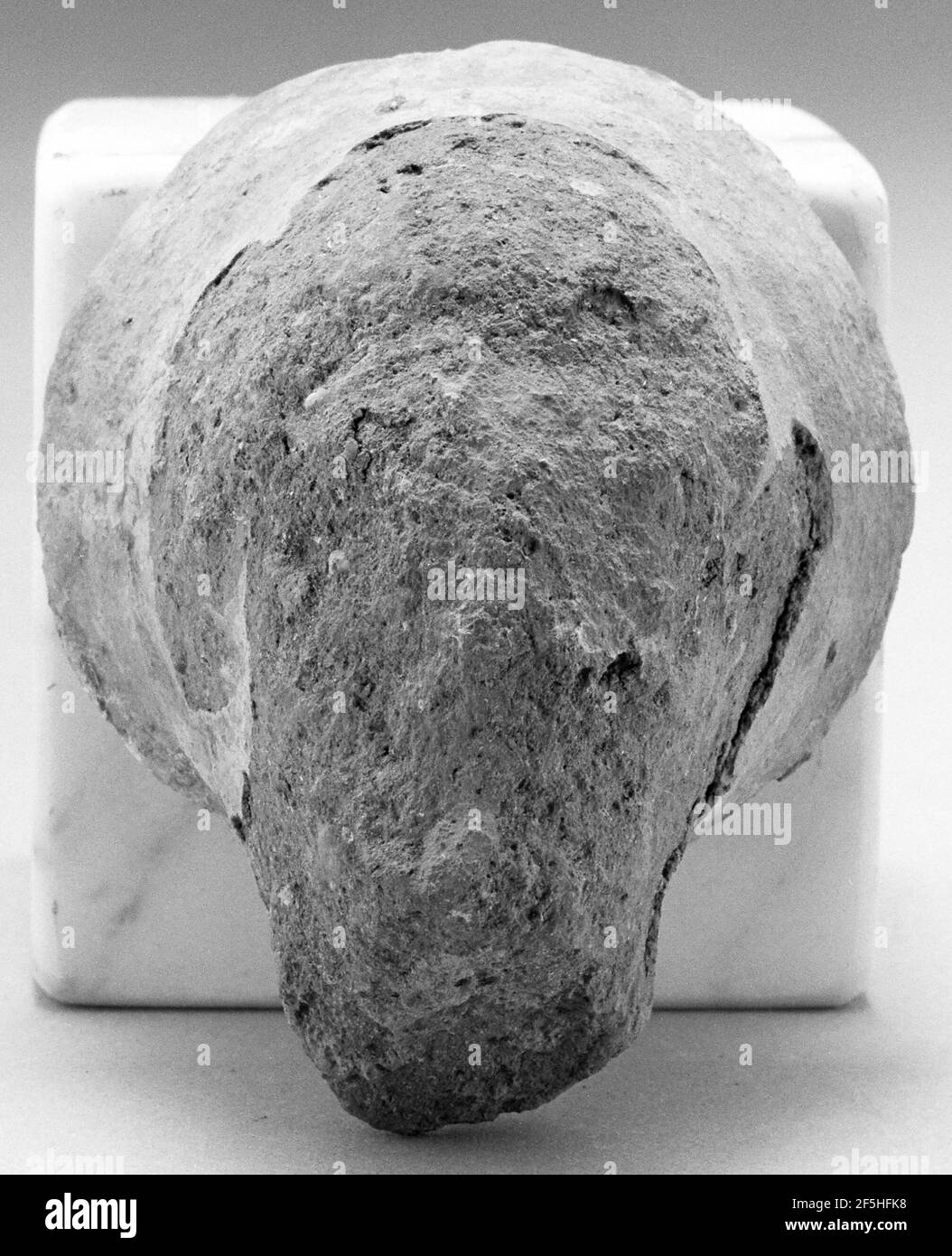 Female Head. Unknown Stock Photo - Alamy