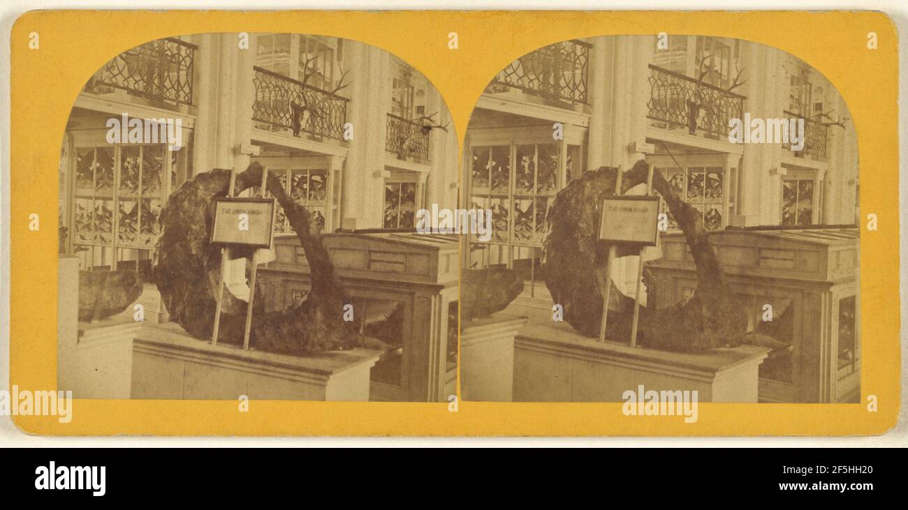 Interior view of the smithsonian institution hi-res stock photography ...