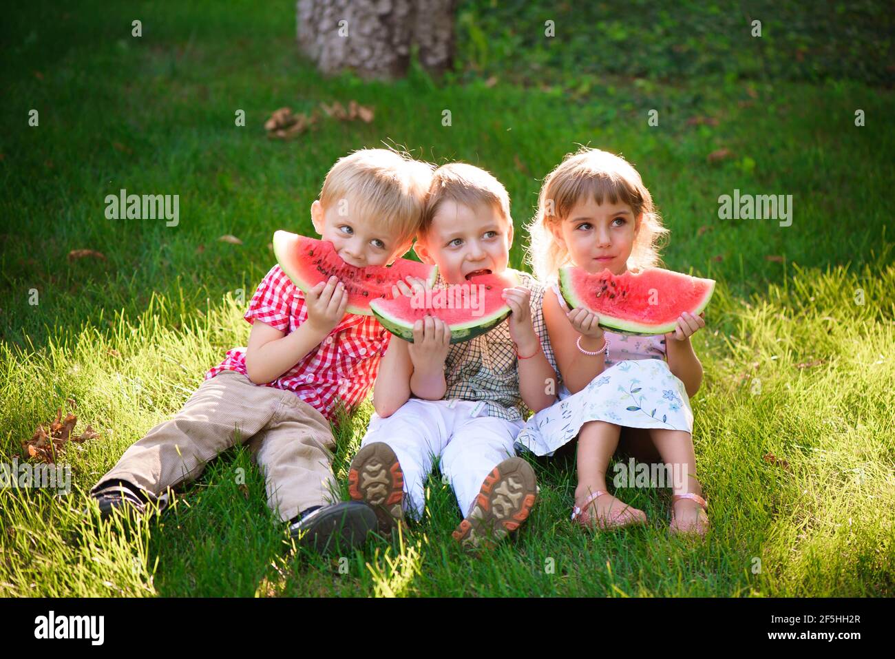 Funny kids eating watermelon outdoors in summer park Stock Photo - Alamy