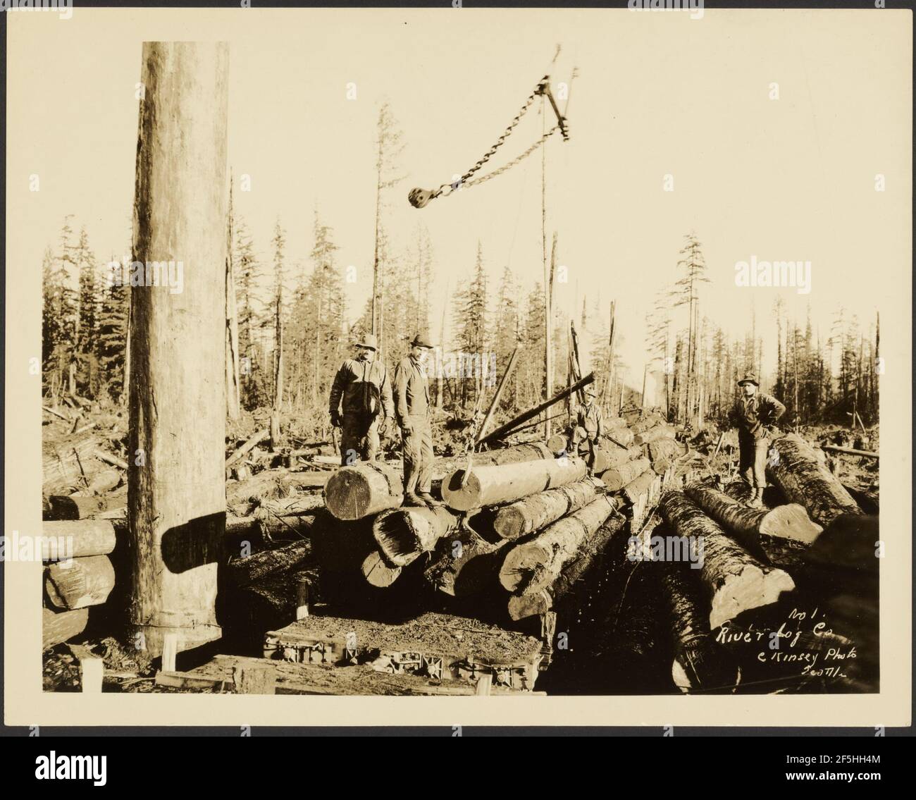 Logging/ Timber Scene. Darius Kinsey (American, 1869 - 1945 Stock Photo ...