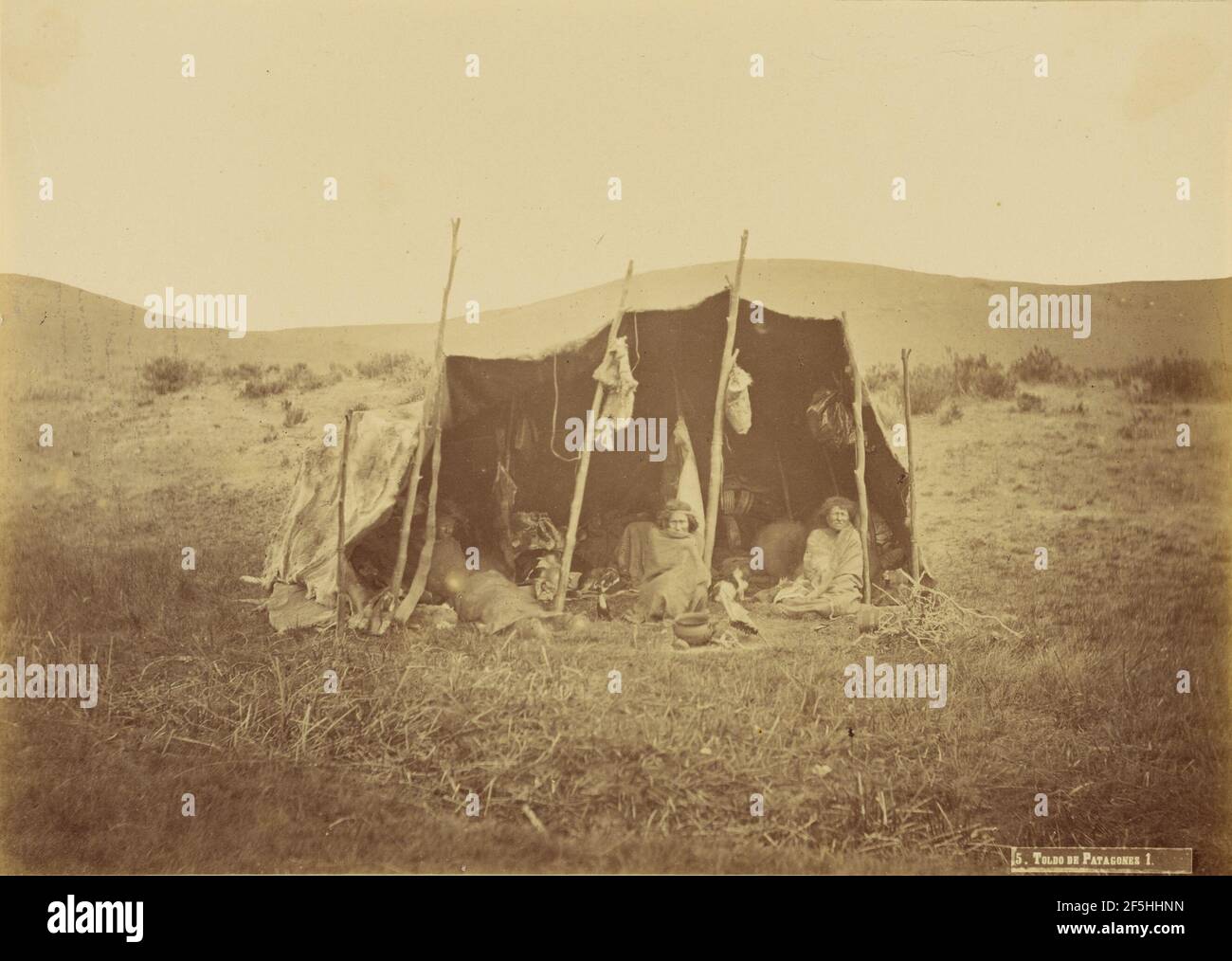 Patagones hi-res stock photography and images - Alamy