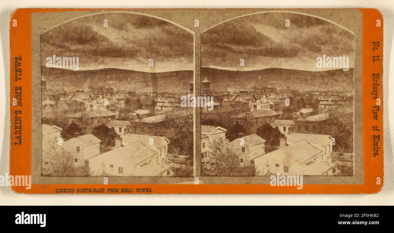 Looking North-East From Bell Tower.. John Edward Larkin (American, 1836 ...