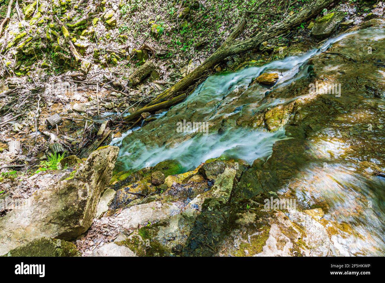 Sherman hamilton hi-res stock photography and images - Alamy