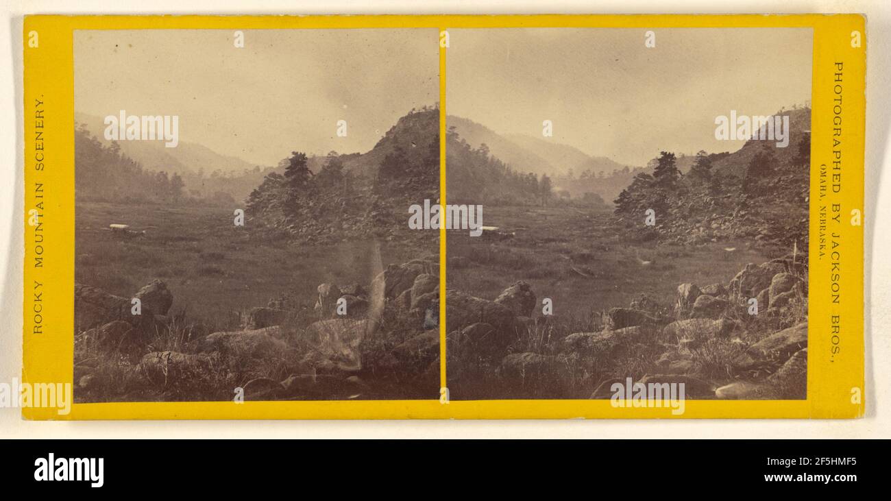 Unidentified valley in the Rocky Mountains. William Henry Jackson & Co ...