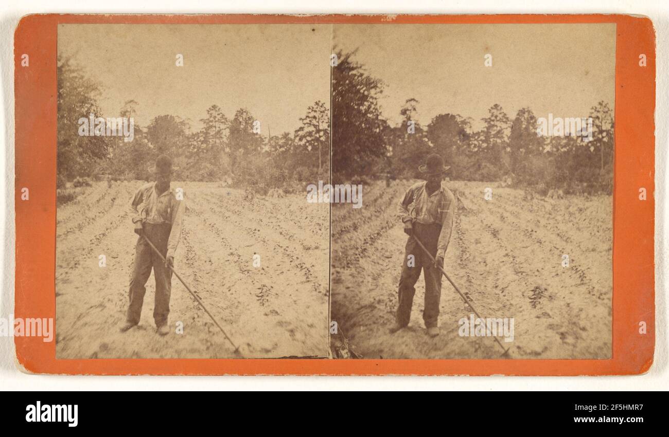 Black farmer hoeing in field. J.A. Palmer (American, active 1860s ...