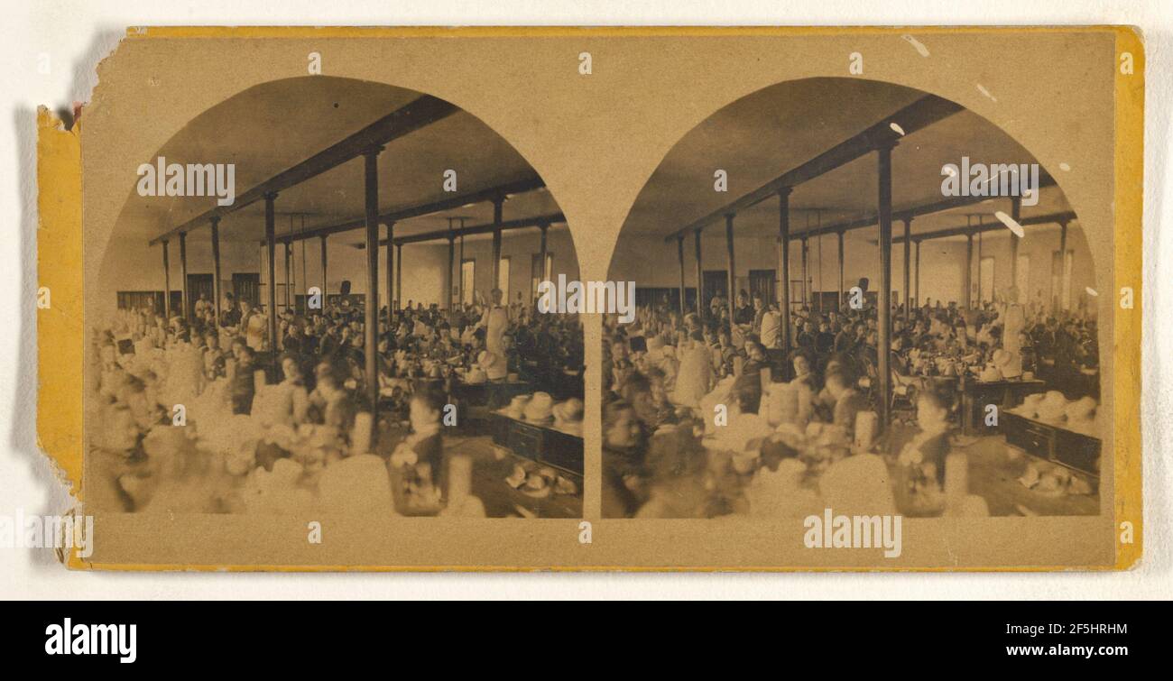 Lower Sewing Hall. Excelsior Straw Works, Medfield, Mass. D.D. Curtis ...