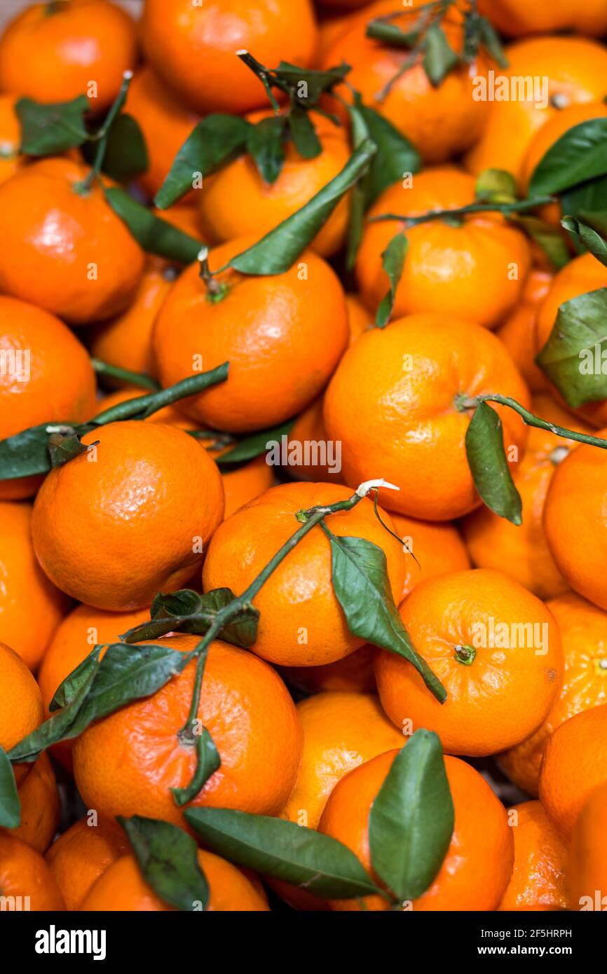 Tangerine fruit frame top hi-res stock photography and images - Alamy