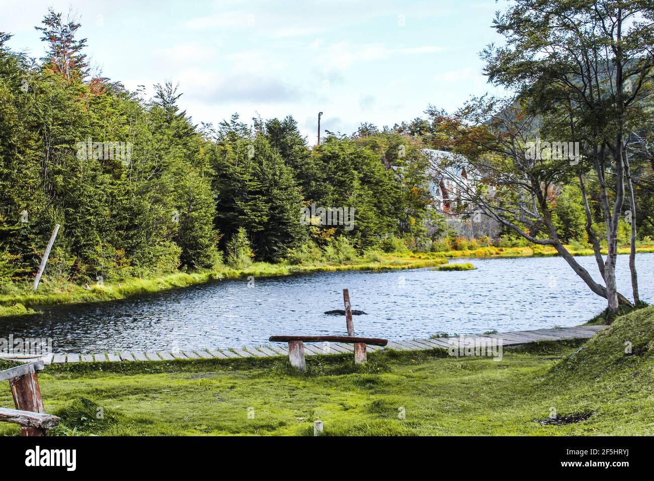 Beautiful scenery of a lake surrounded by greenery and buildings Stock ...