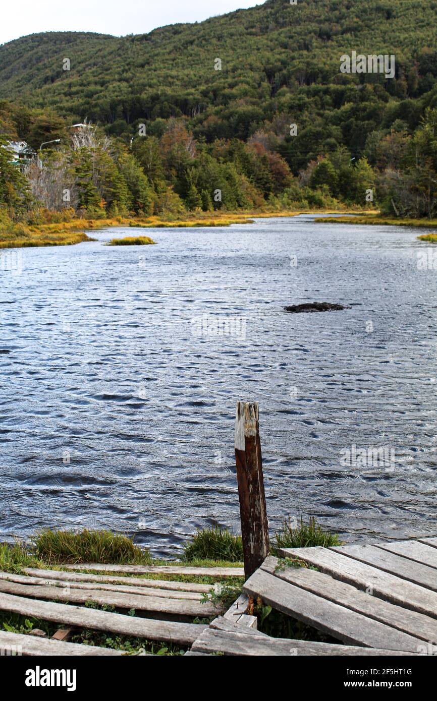 Beautiful scenery of a lake surrounded by greenery and buildings Stock ...