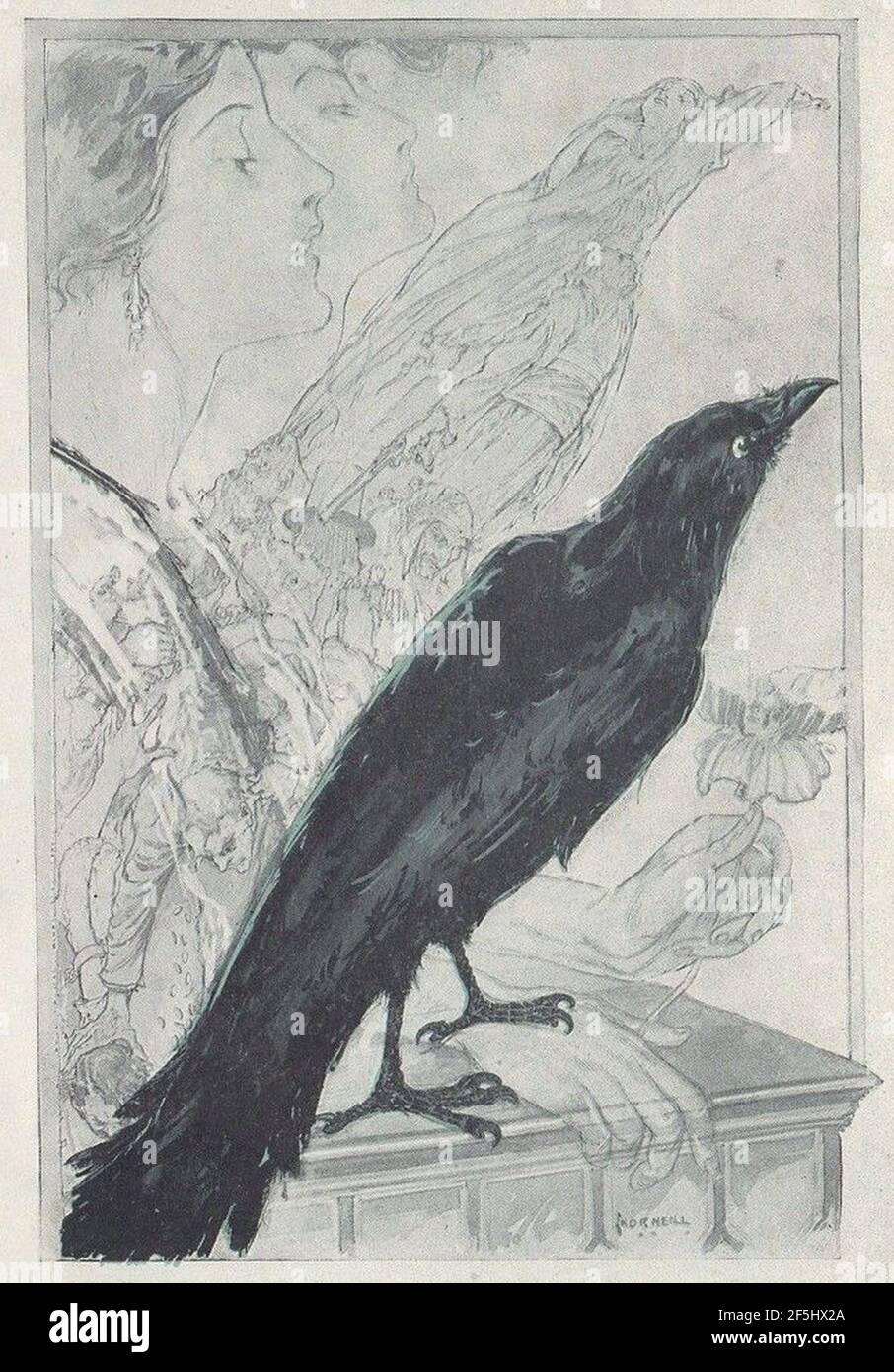 The raven poe hi-res stock photography and images - Alamy