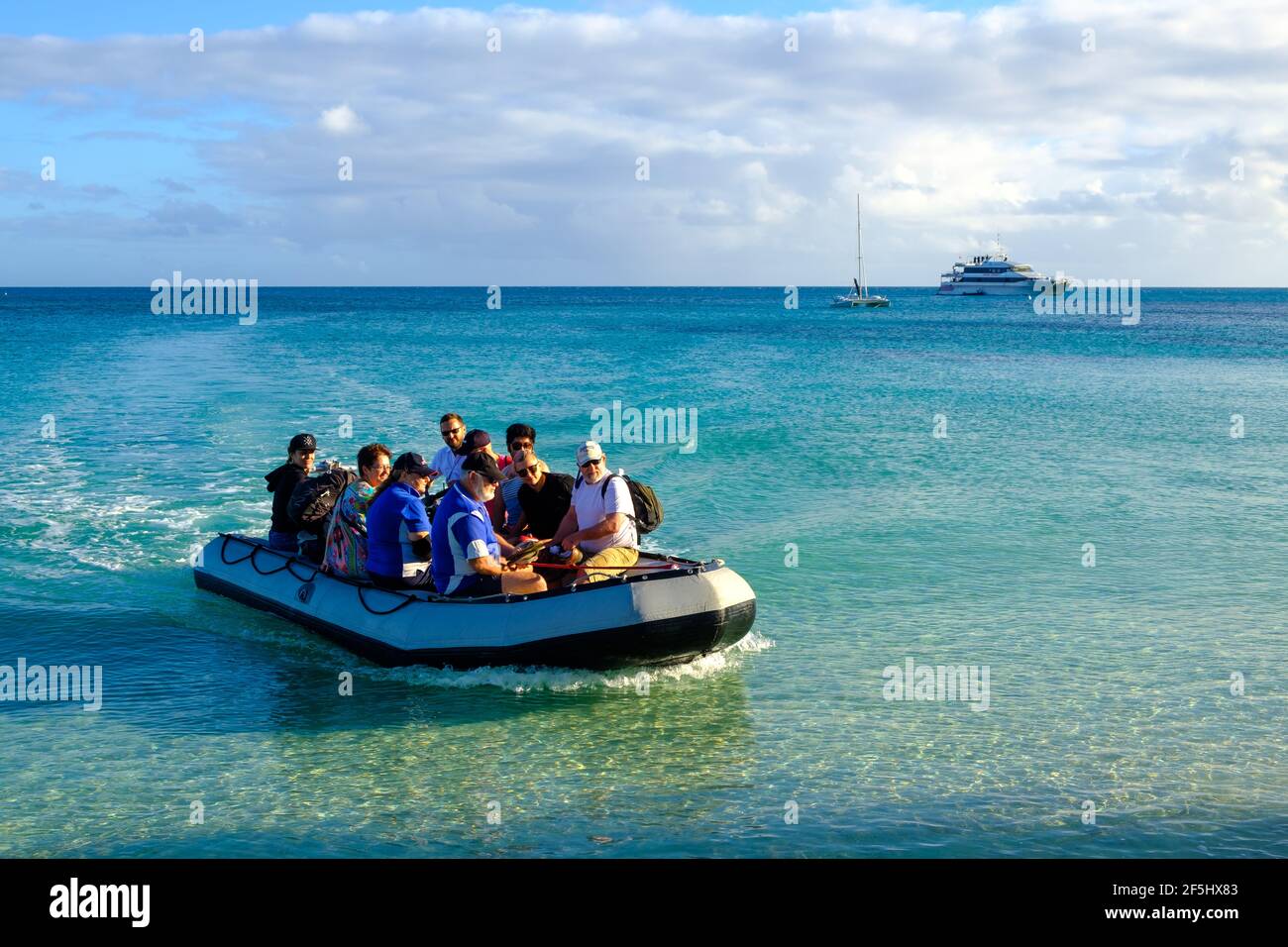 4 Night - Fly Dive Minke Whale Expedition - At Lizard Island Stock ...