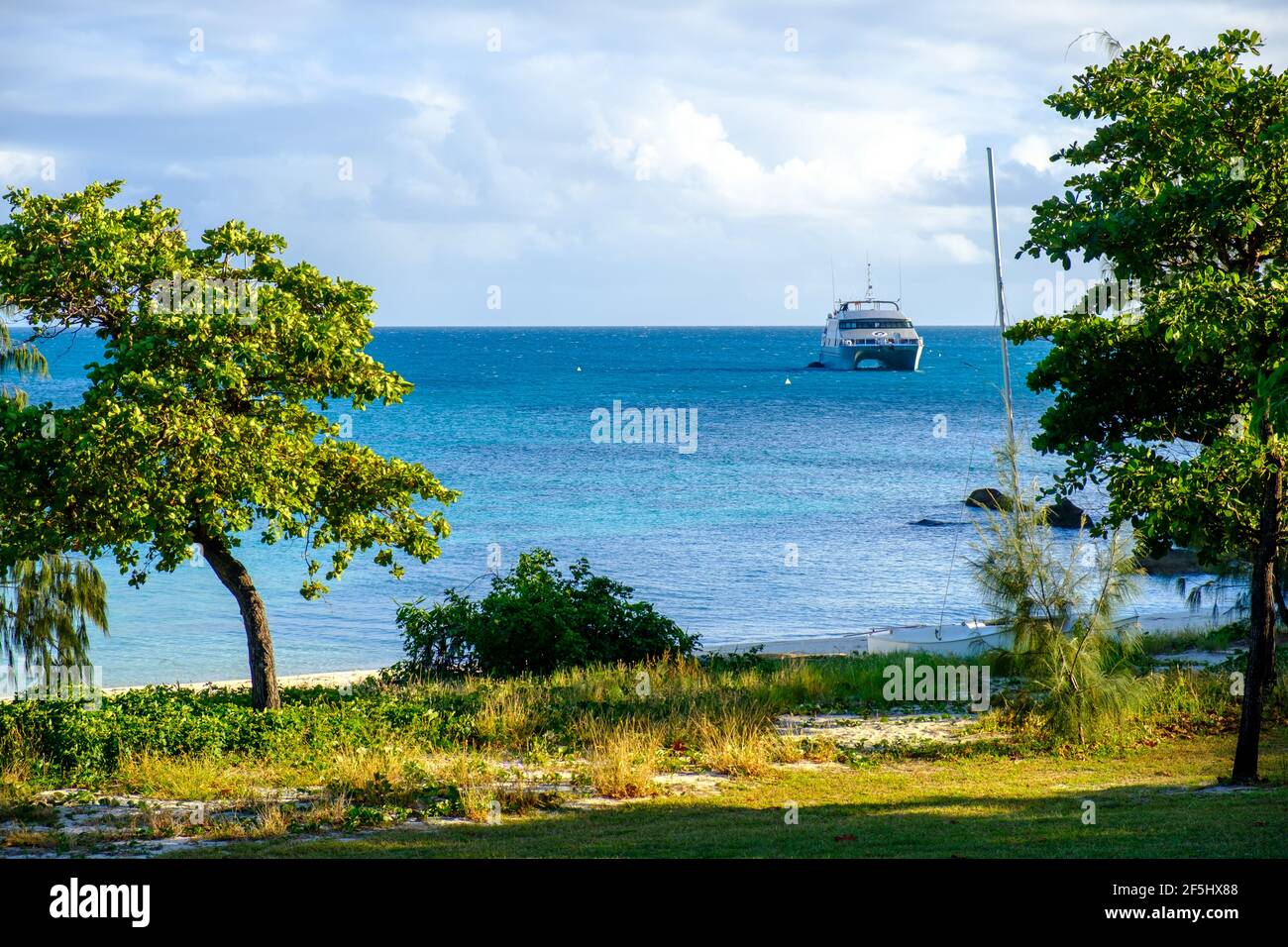 4 Night - Fly Dive Minke Whale Expedition - At Lizard Island Stock ...
