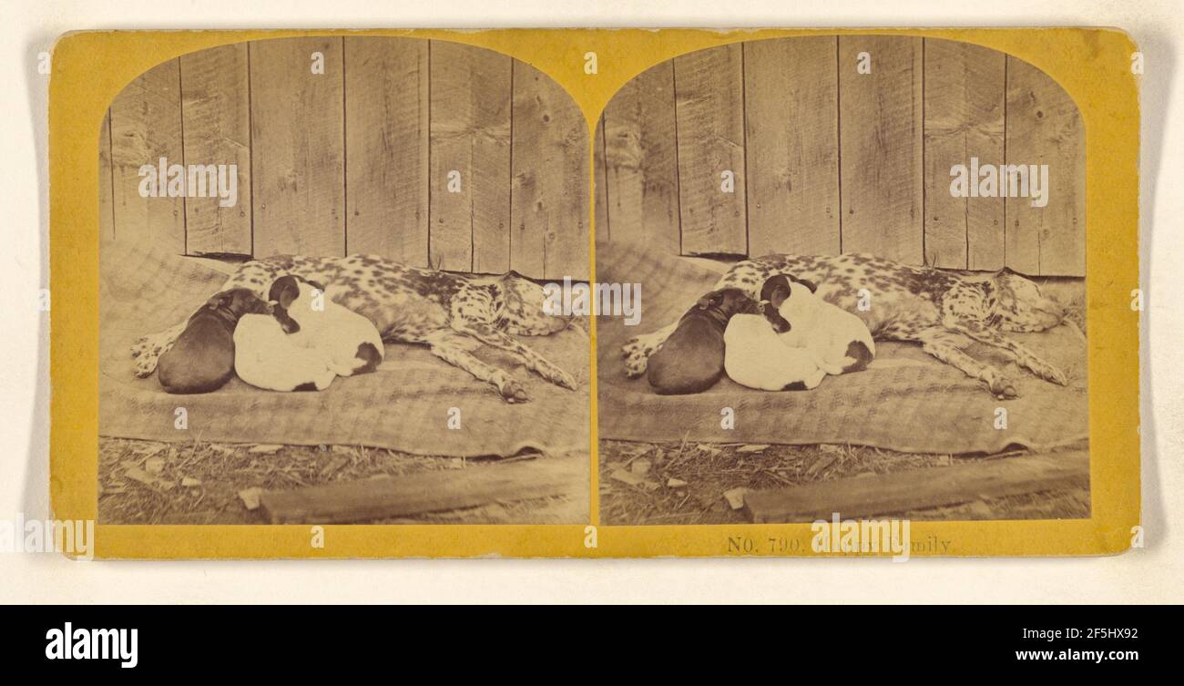 Happy Family.. Benjamin West Kilburn (American, 1827 - 1909 Stock Photo ...