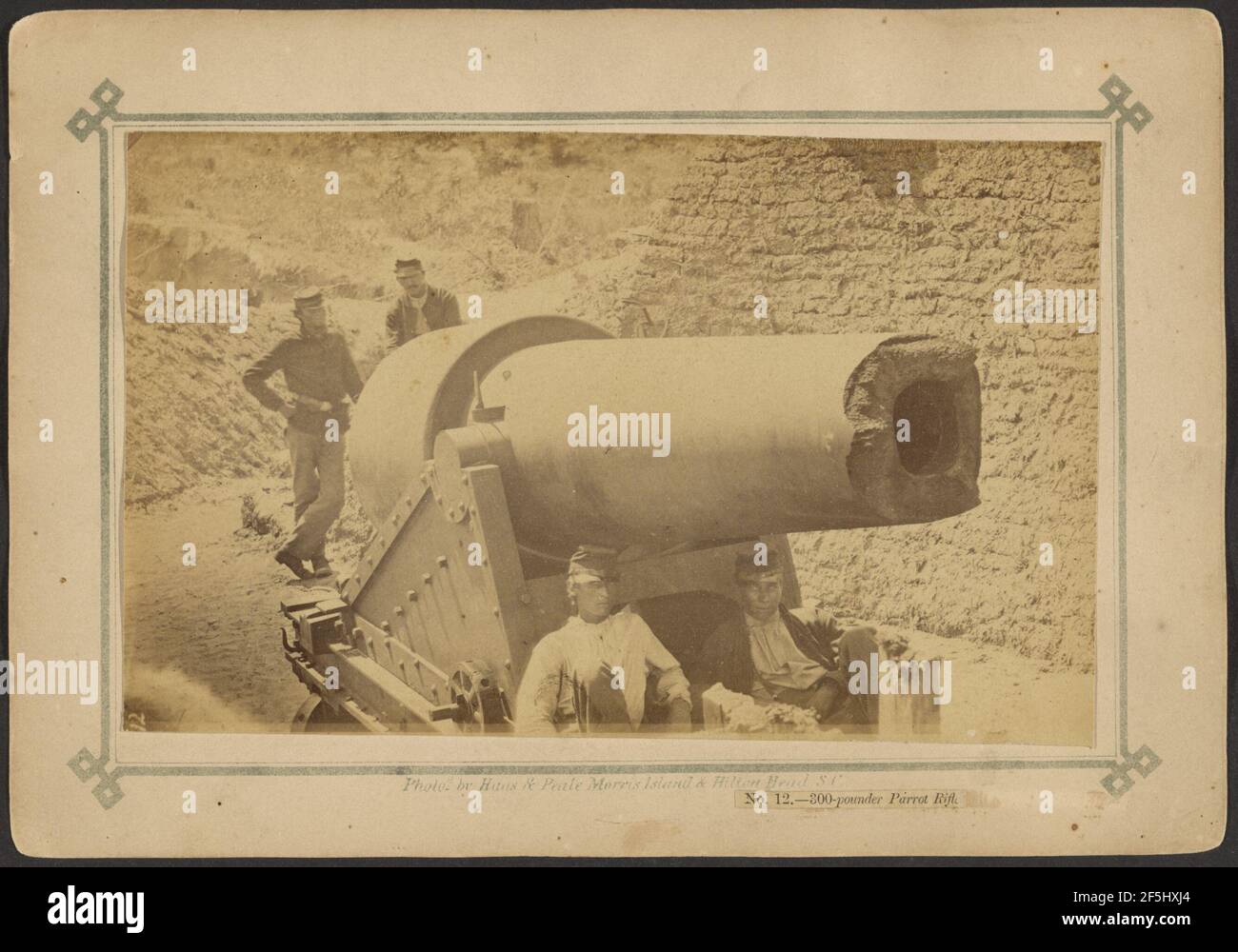 Parrot rifle hi-res stock photography and images - Alamy