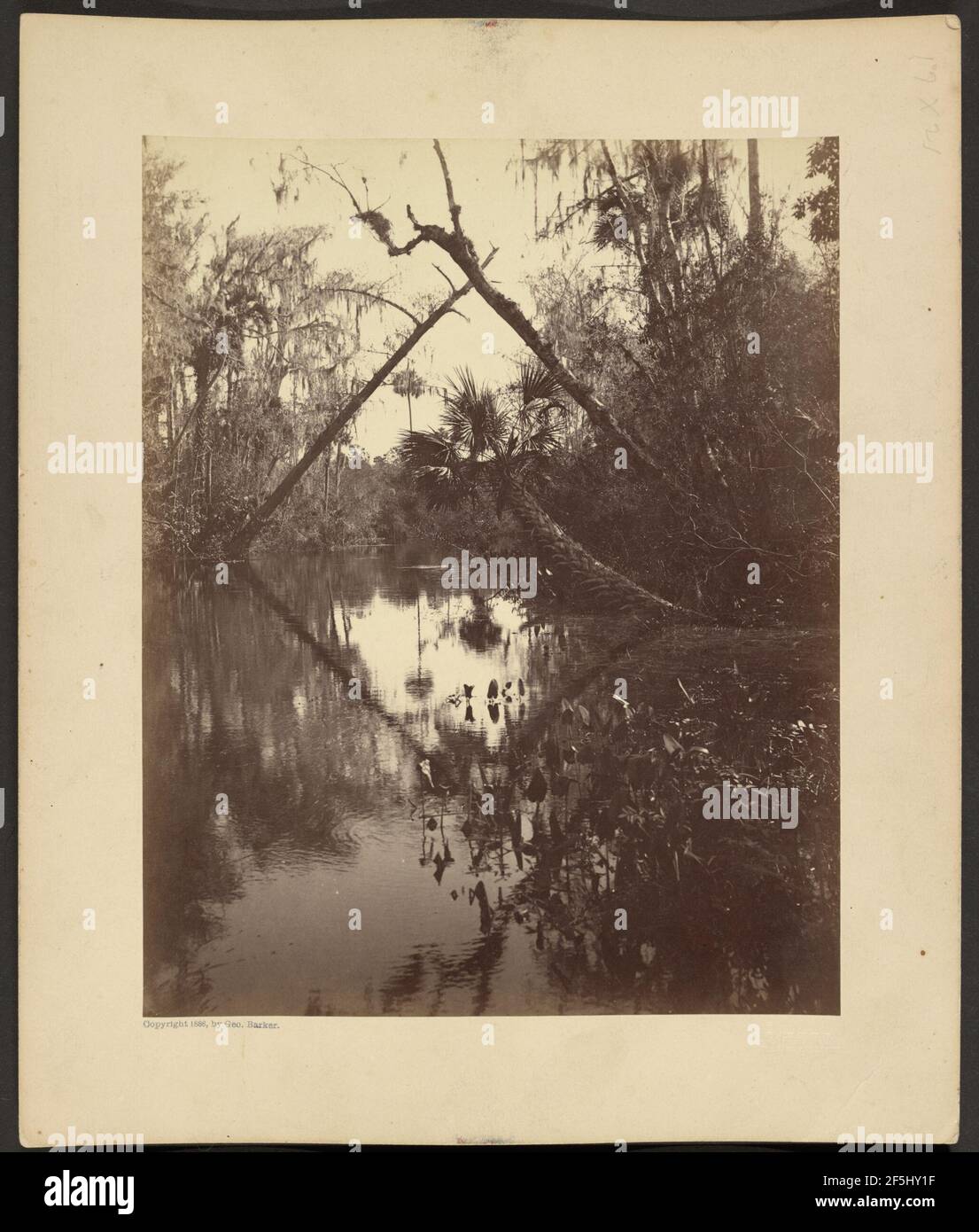 George barker florida hi-res stock photography and images - Alamy