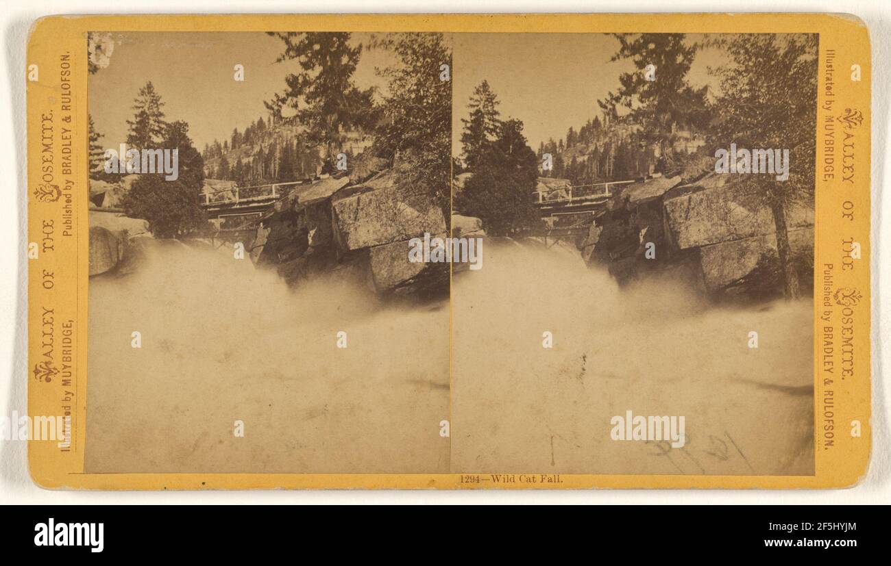 Cat eadweard muybridge hi-res stock photography and images - Alamy