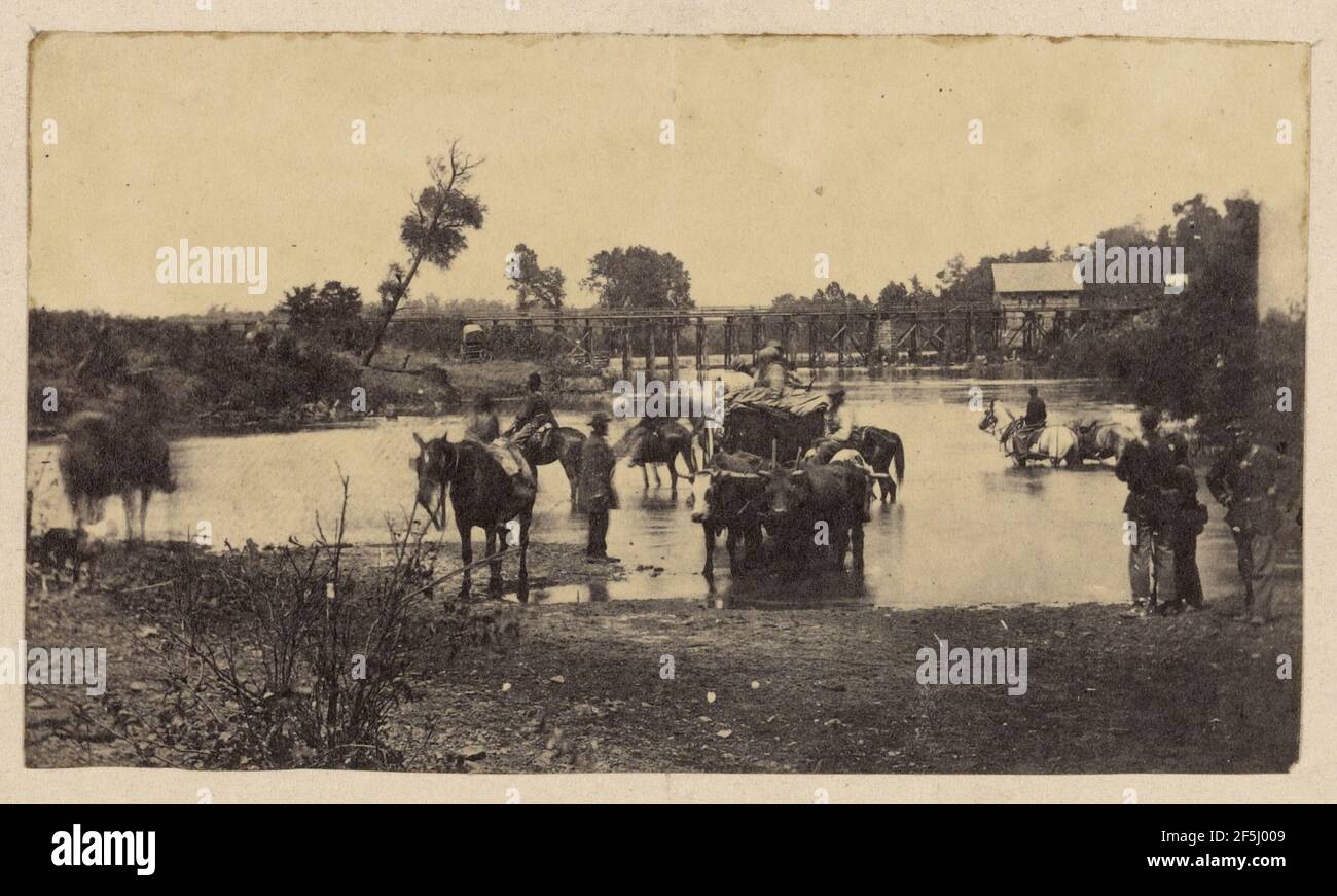Group wading through pond Stock Photo - Alamy