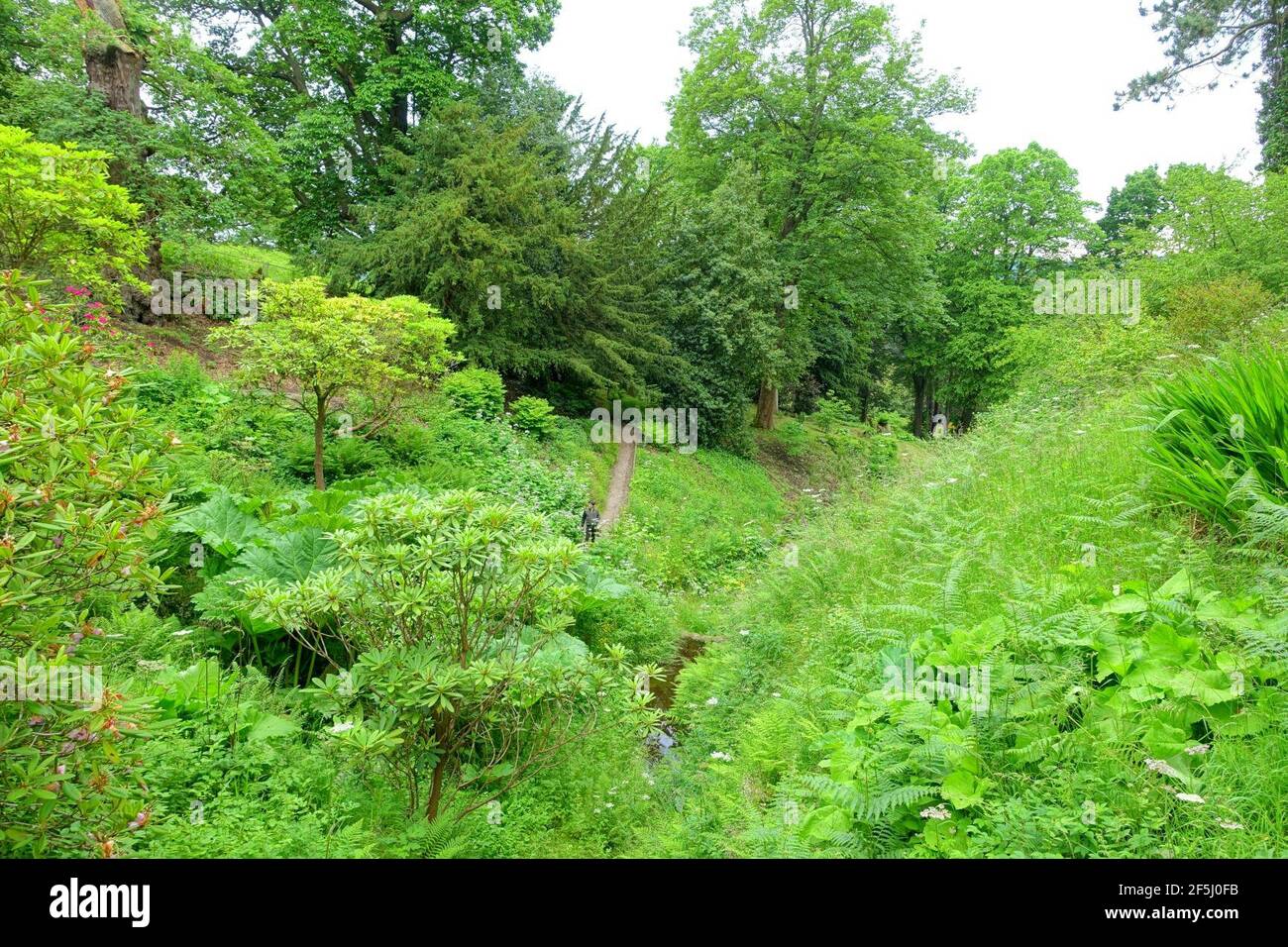 Ravine path - Chatsworth House - Derbyshire, England Stock Photo - Alamy