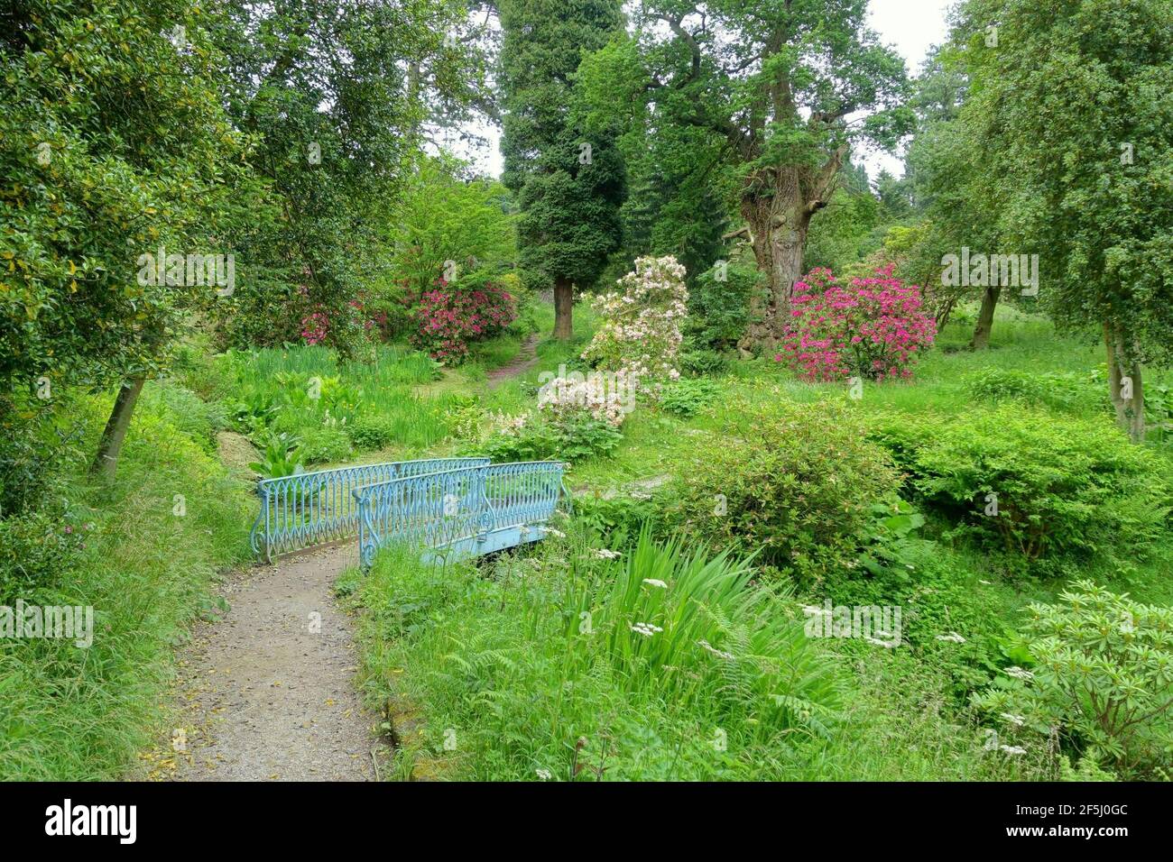 Ravine path - Chatsworth House - Derbyshire, England Stock Photo - Alamy