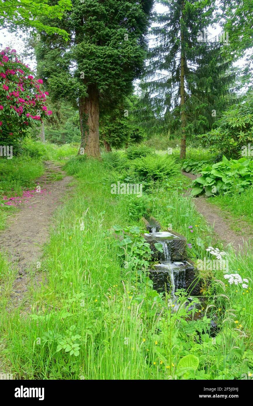Ravine path and trough waterfall - Chatsworth House - Derbyshire ...