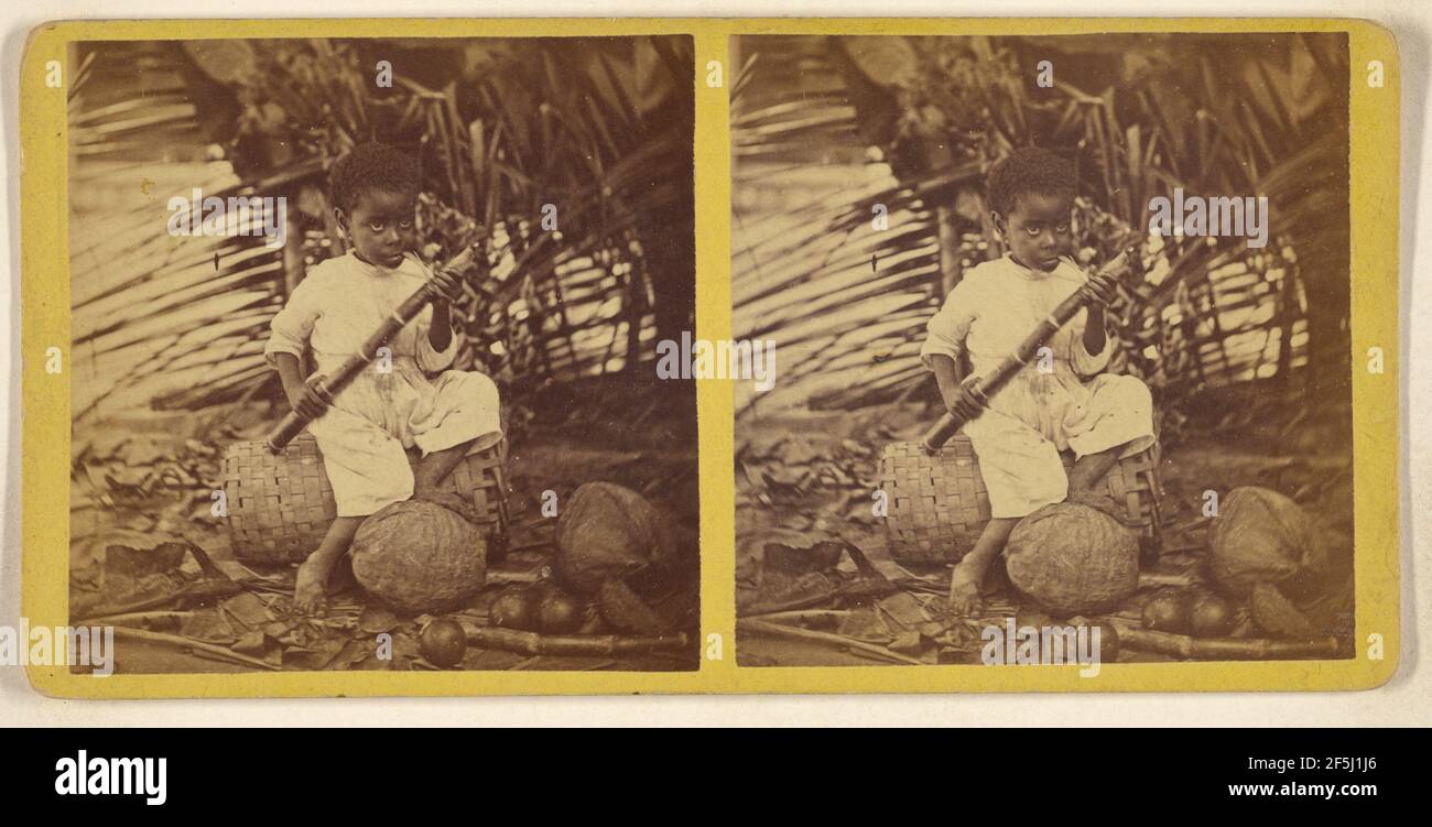 "And God made man or monkey, which?"/"Chewing Sugar Cane". Case & Lott ...