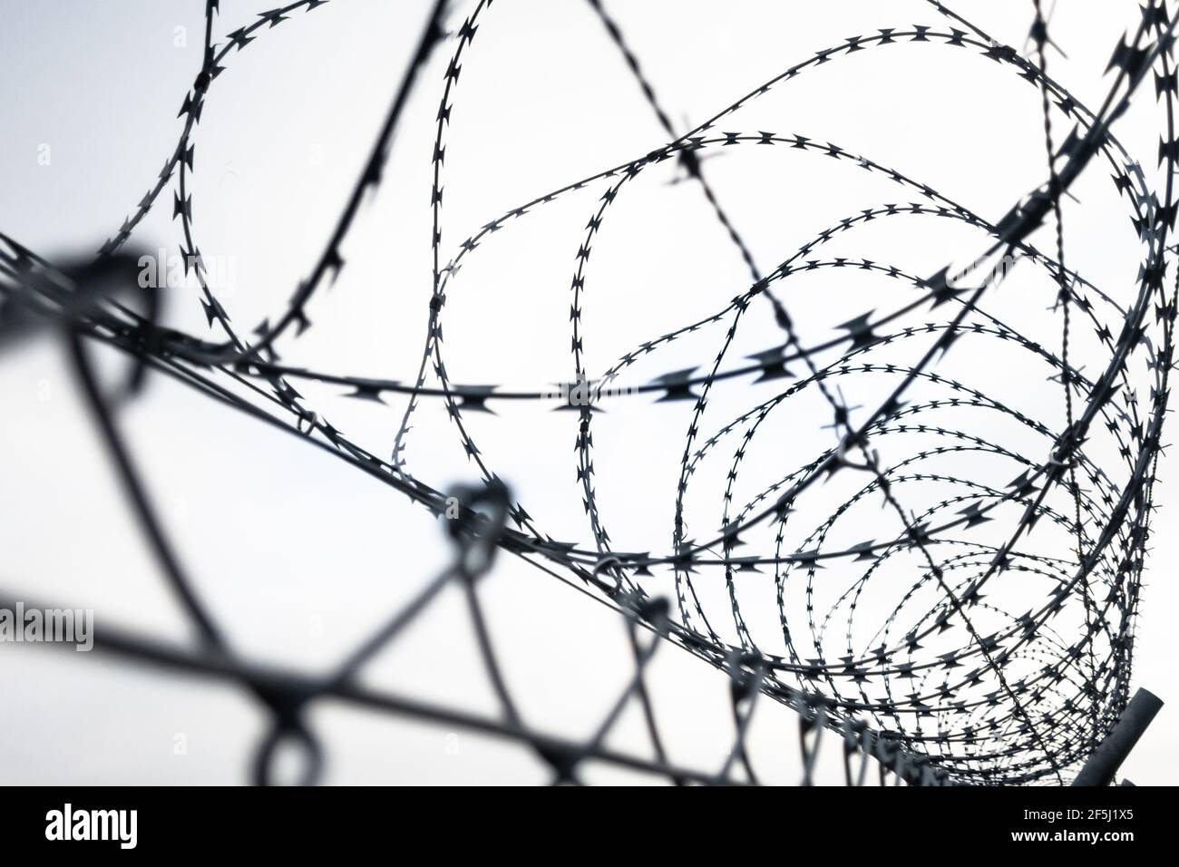 no trespassing through sharp barbed wire fence close-up from low angle ...