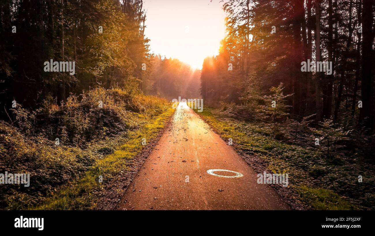 Blinding spotlight hi-res stock photography and images - Alamy