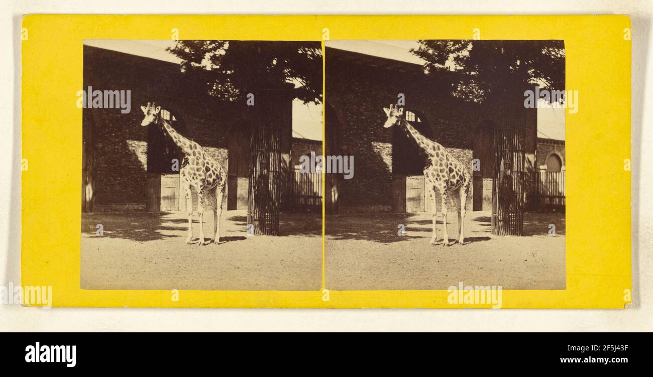 Frank haes hi-res stock photography and images - Alamy