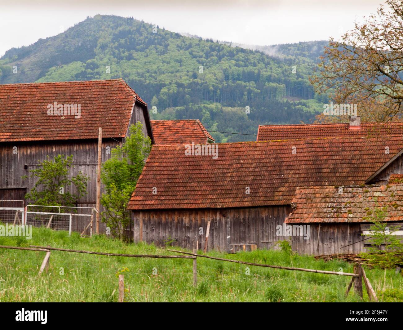Old wooden barns of the typical Waldviertal style Yspertal, Lower ...