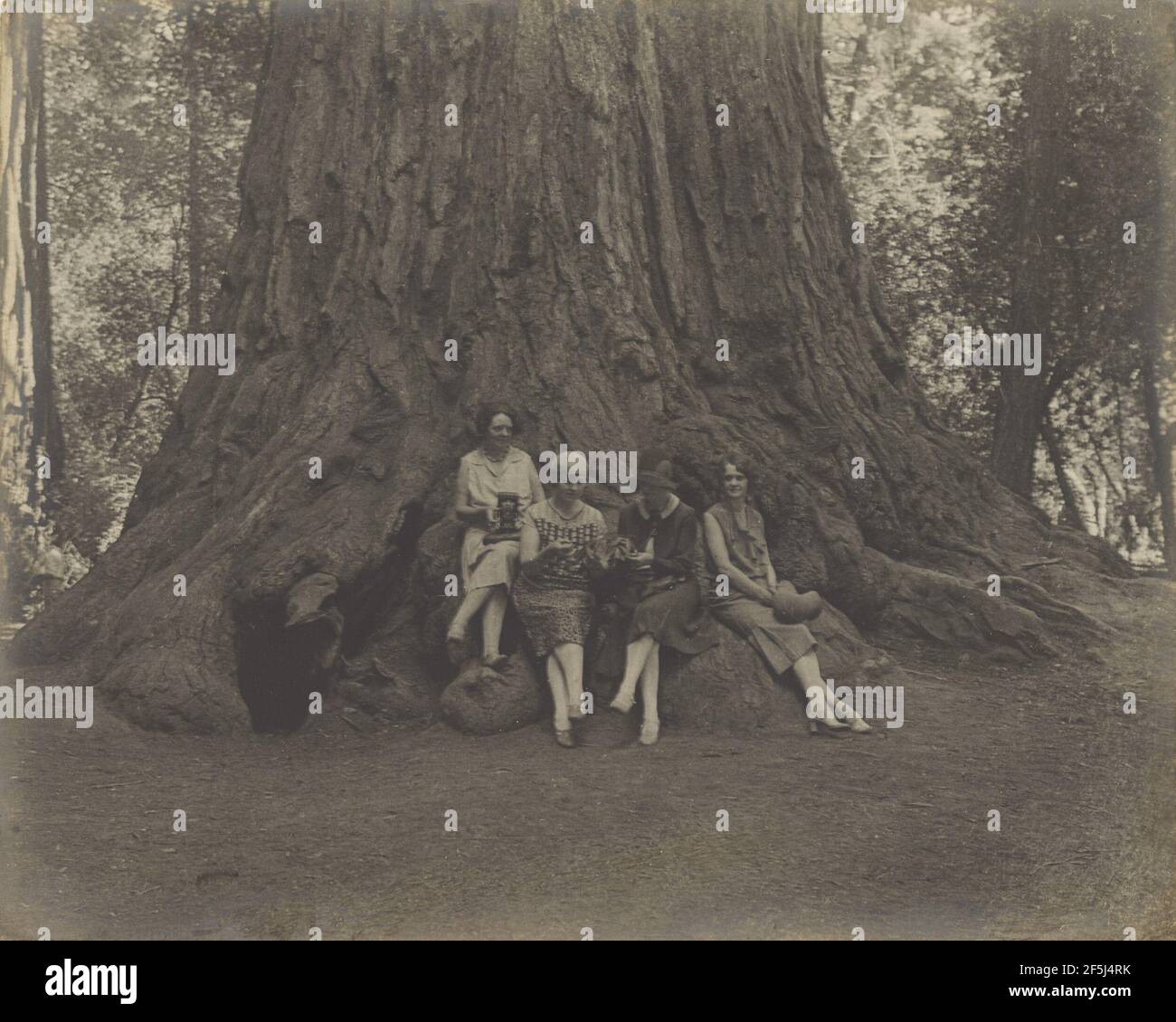 Women with Cameras at the Base of a Tree. Louis Fleckenstein (American ...
