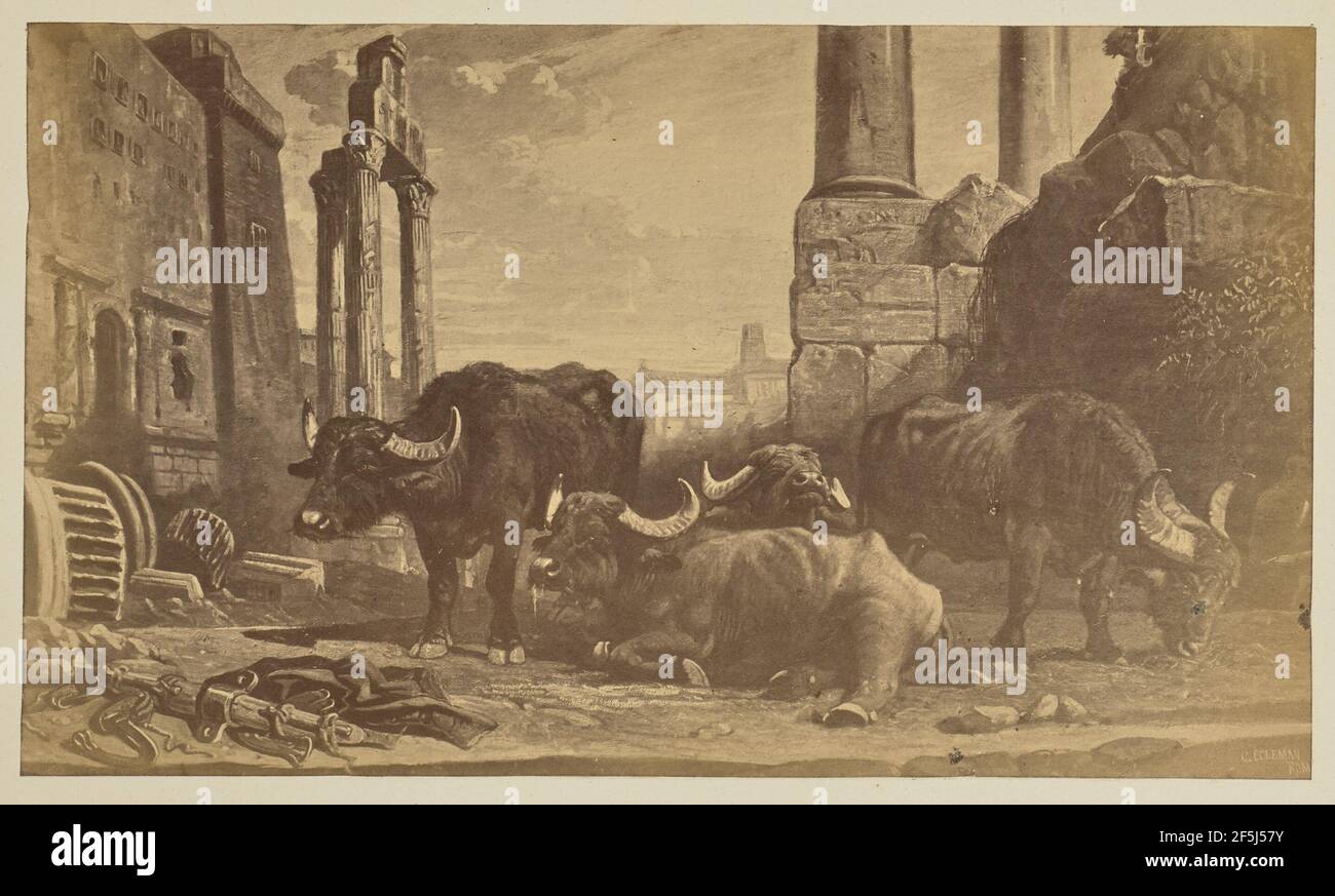 Buffalo at rest among Roman ruins. Gustavo Reiger (Italian, active Rome ...