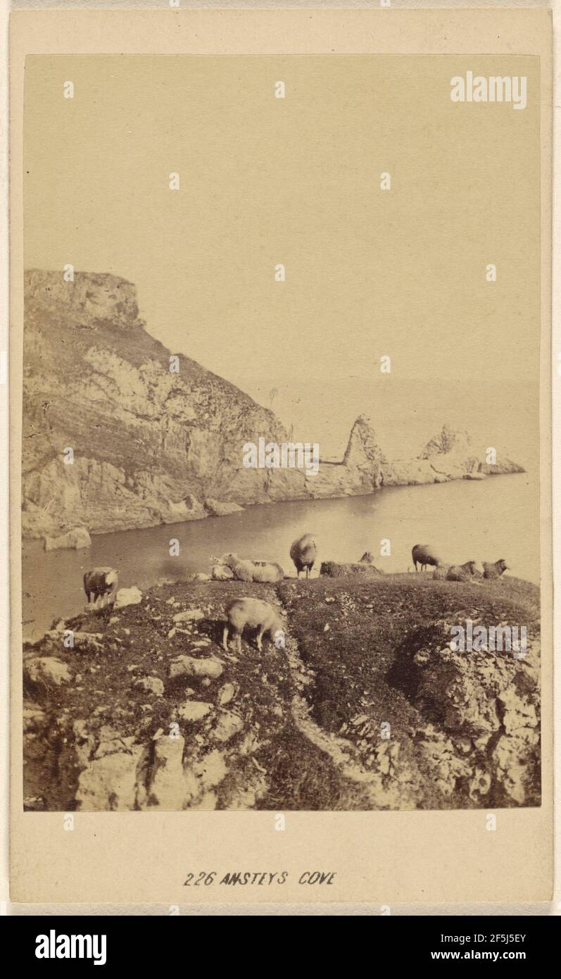 Ansteys Cave.. William Spreat (British, active Exeter, England 1860s ...