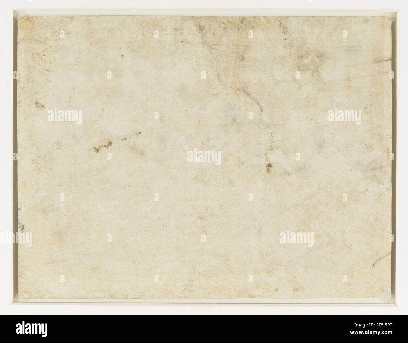 Proconsul hi-res stock photography and images - Alamy