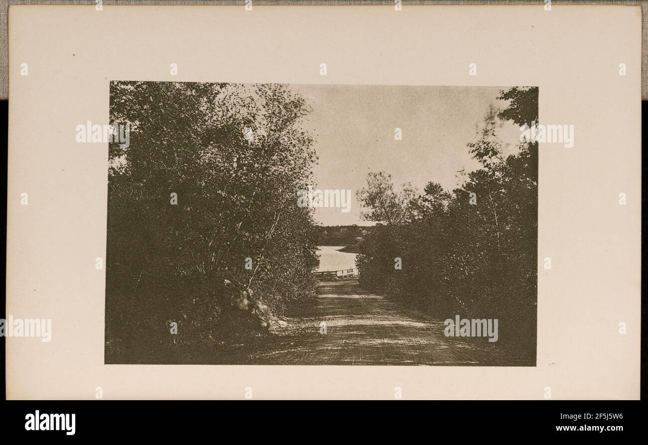 View in Lynn, Looking through a Vista of Trees on a Descending Road ...