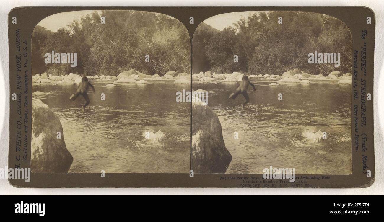 Native Boys in a fine Fresh Water Swimming Hole beside Bamboo Trees ...
