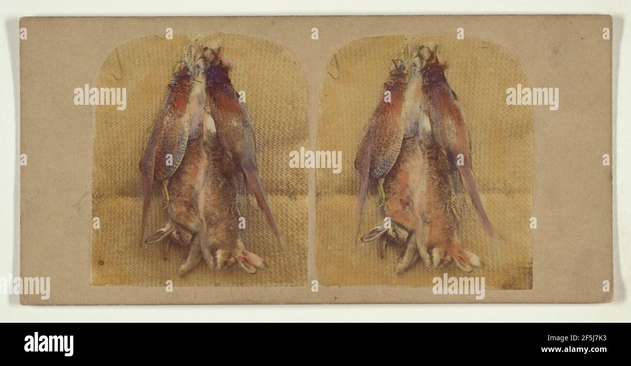 Still life of hanging fowl and rabbits. Attributed to Roger Fenton ...