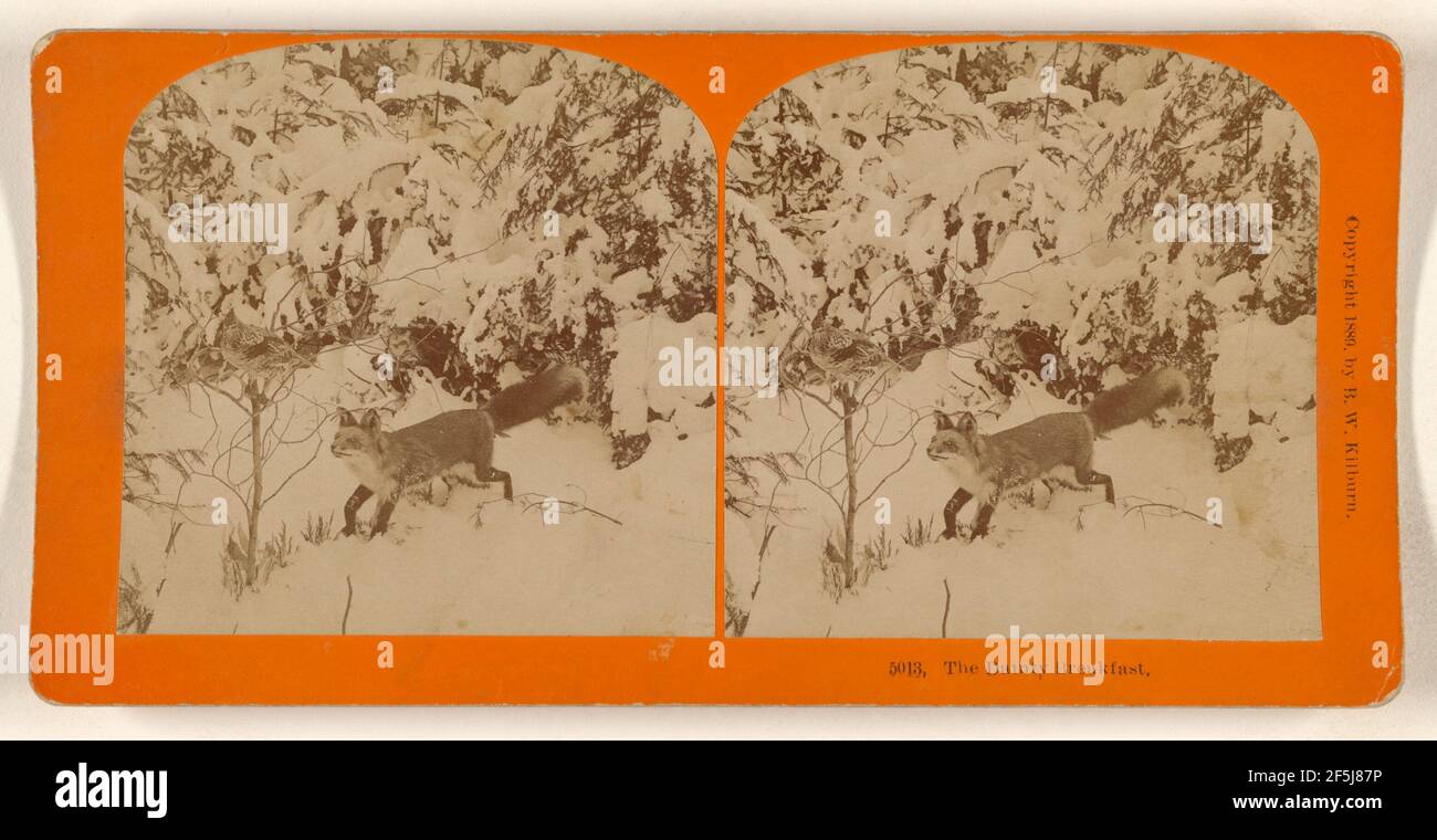 The Dainty Breakfast.. Benjamin West Kilburn (American, 1827 - 1909 ...