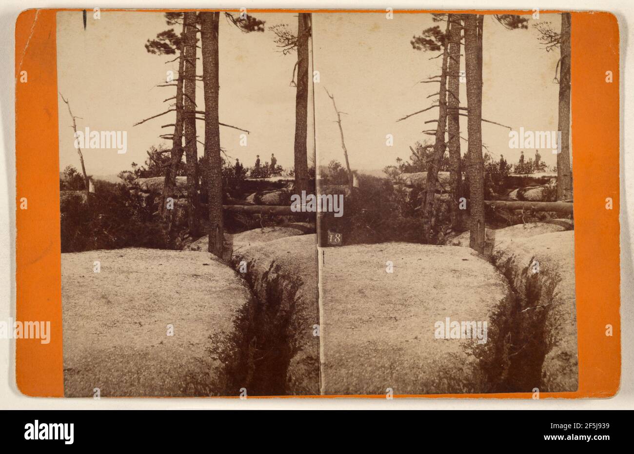 Detlor hi-res stock photography and images - Alamy