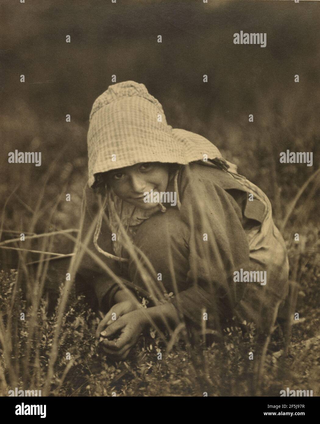 Cranberry Picker, New Jersey. Lewis W. Hine (American, 1874 - 1940 ...