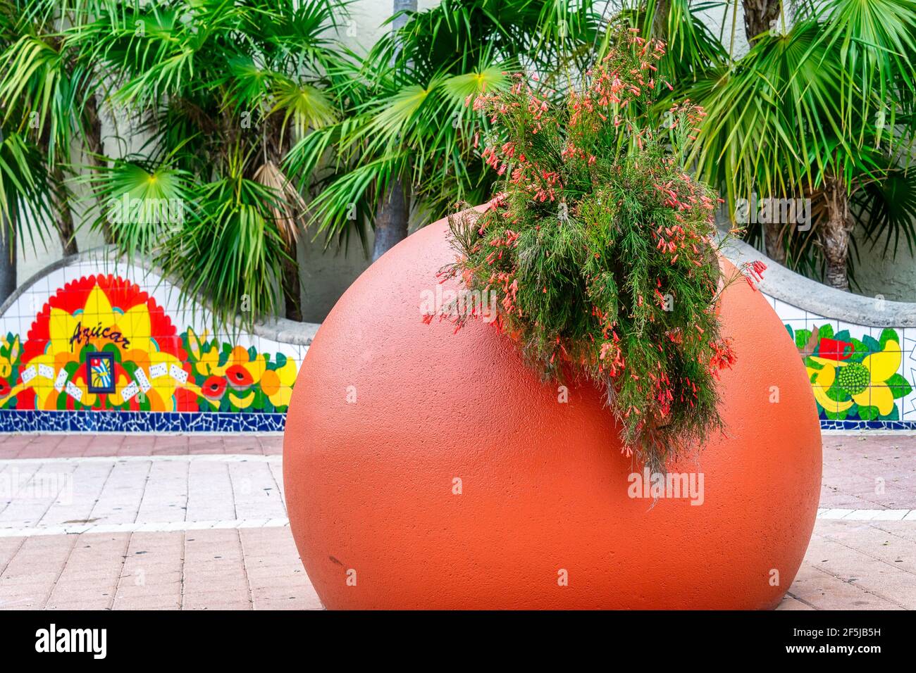 Potted plant in tinajon, Miami, Florida, USA Stock Photo - Alamy