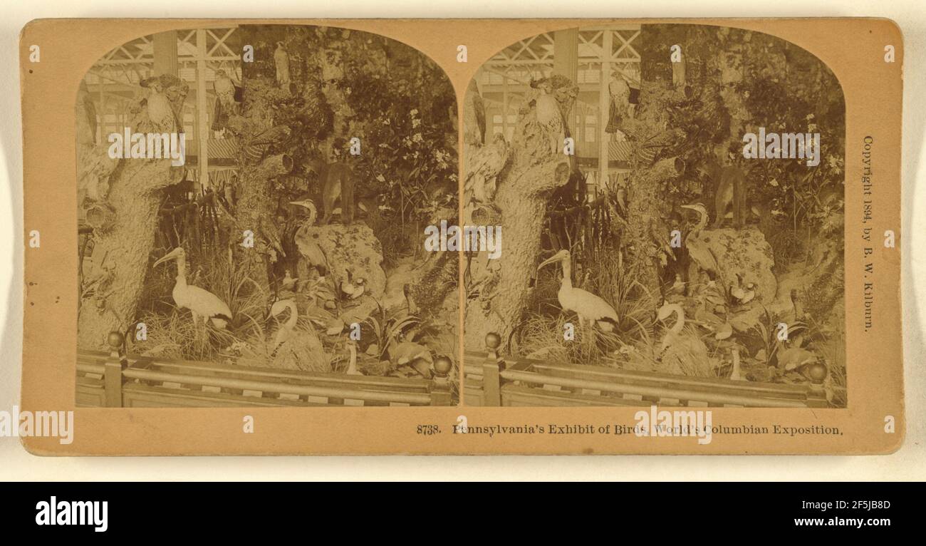 Pennsylvania's Exhibit of Birds, World's Columbian Exposition ...