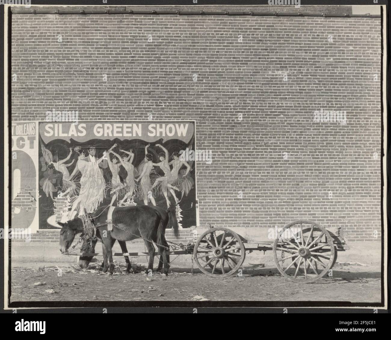 Mule Team and Poster, Demopolis, Alabama. Walker Evans (American, 1903 ...