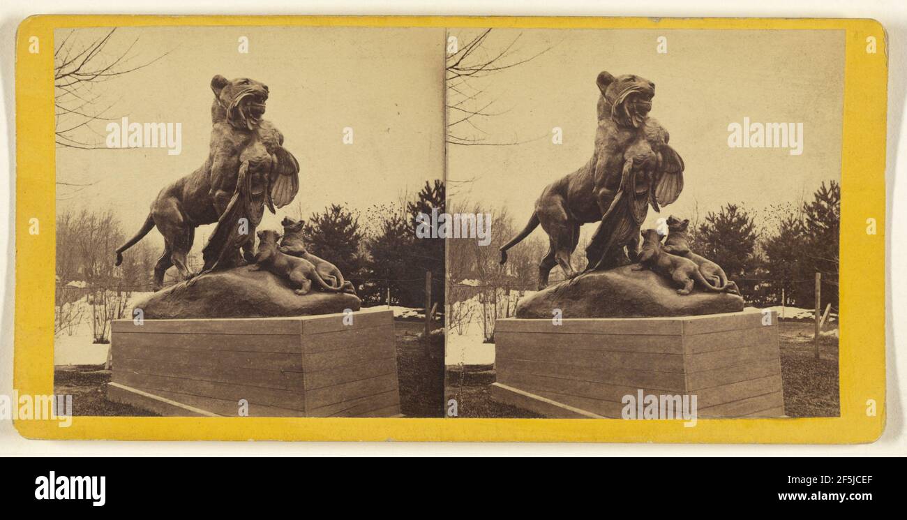 Central Park. (New York.) The Tiger and Cubs. - Statue.. Edward and ...