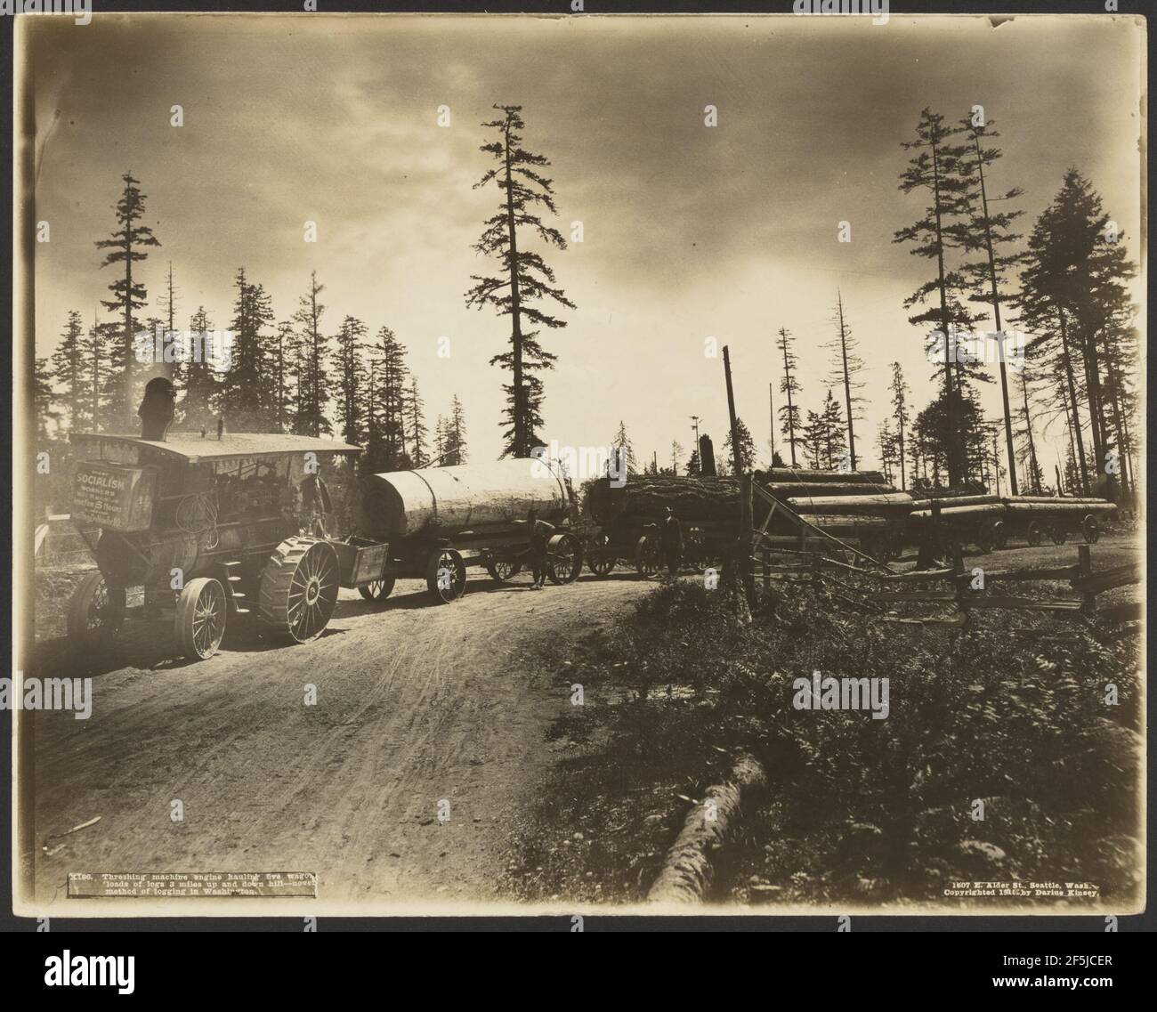 Threshing machine engine hauling five wagon loads of logs. Darius ...