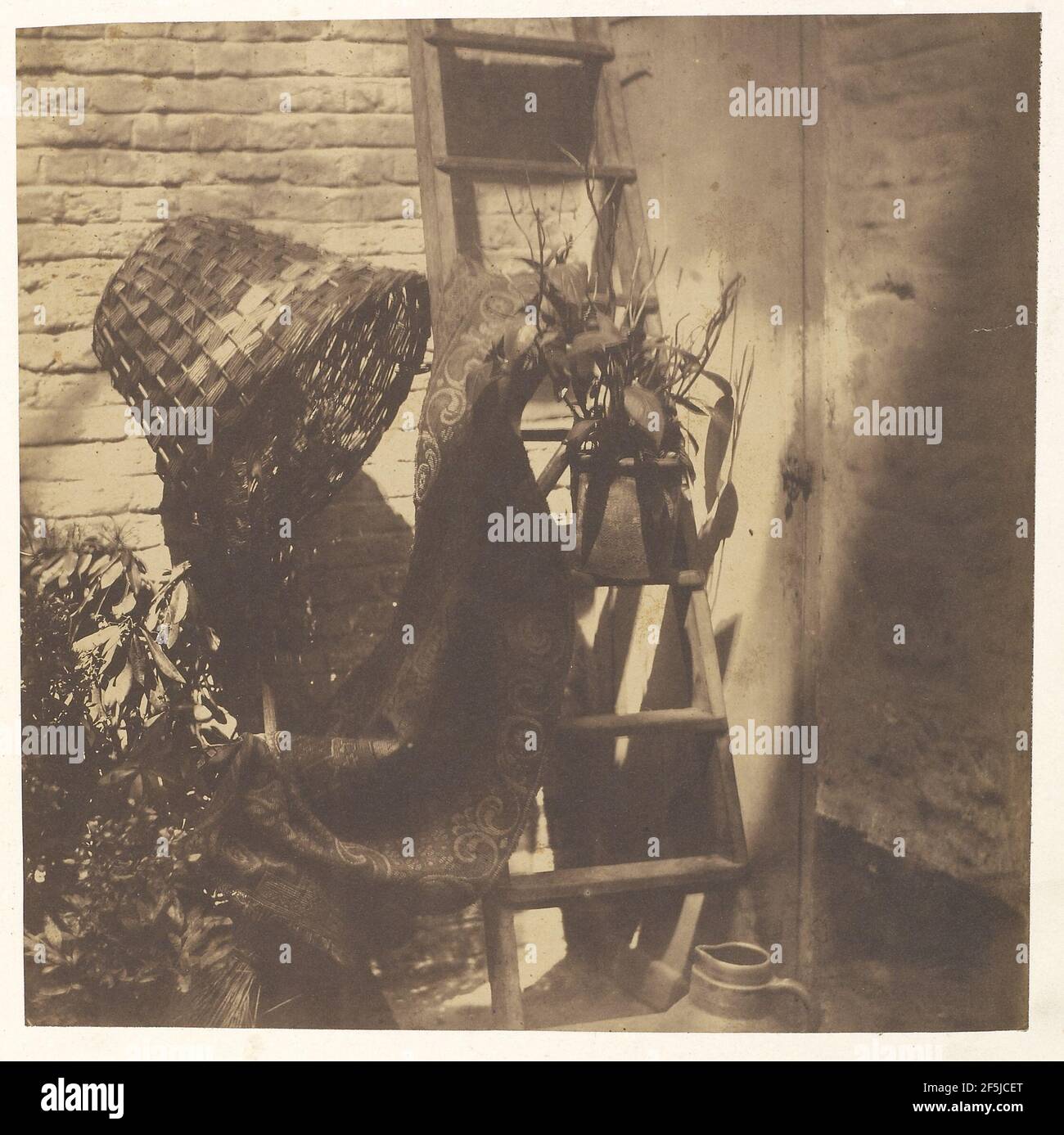 Still Life with Straw Basket, Rug and Potted Plant on Ladder Stock ...