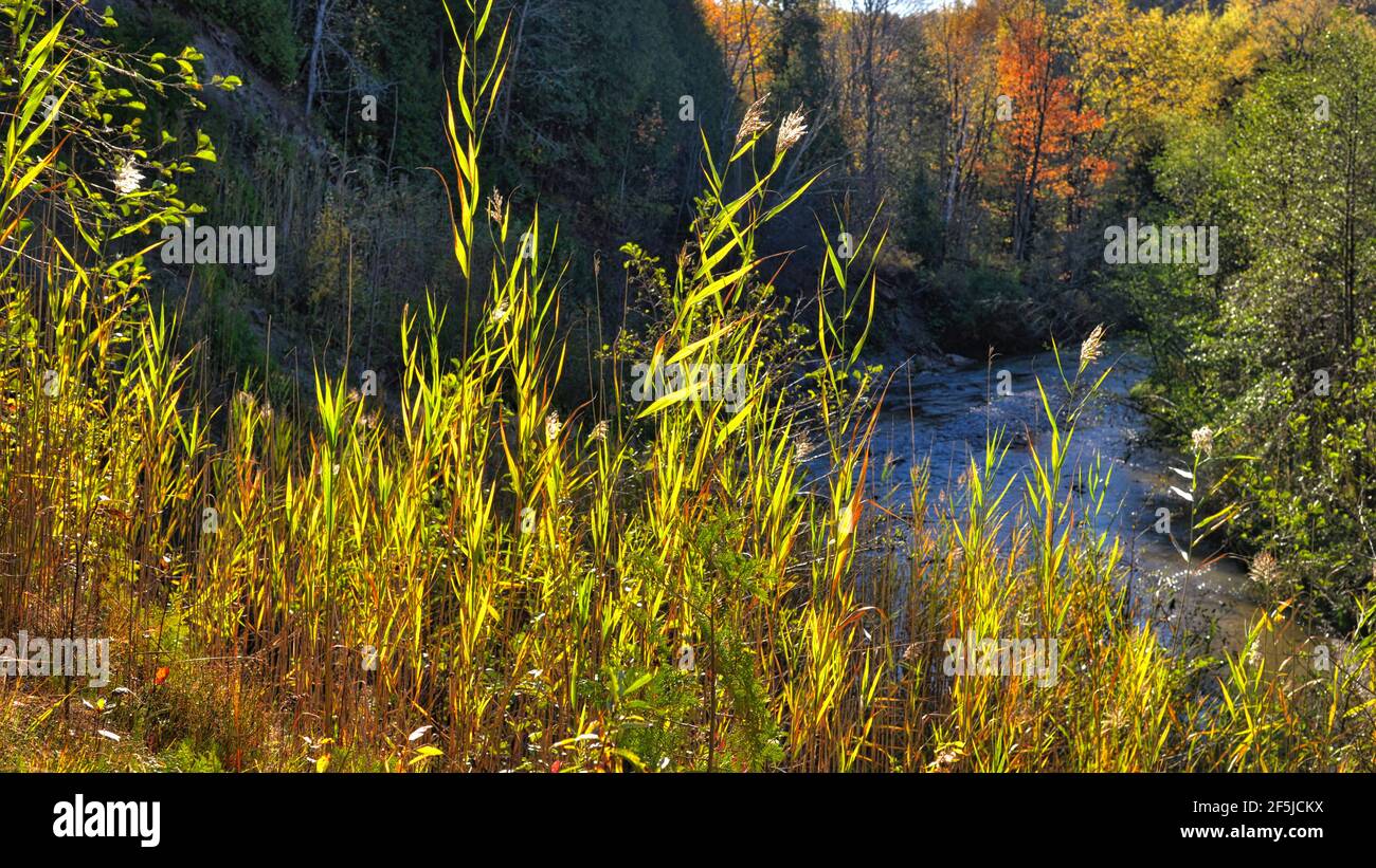 Red river valley water hi-res stock photography and images - Alamy